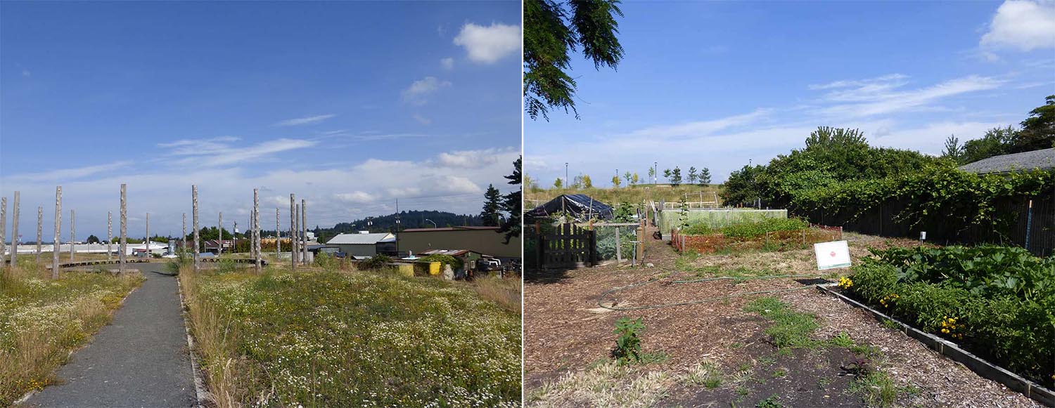 Portland’s Lauded Sustainability Falls Short on Racial Justice ...