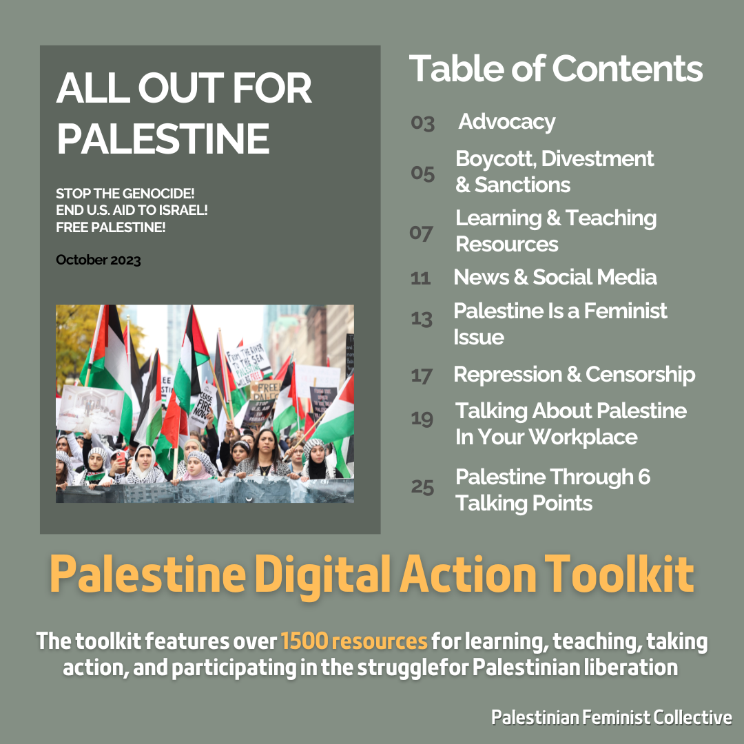 Palestine solidarity resources - Undisciplined Environments