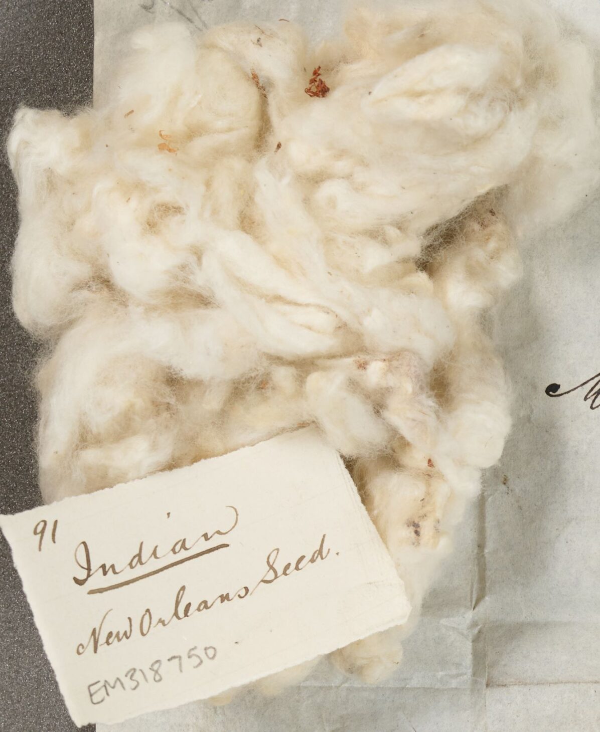 LITMUS: Visualising the hidden histories of Cottonopolis ...